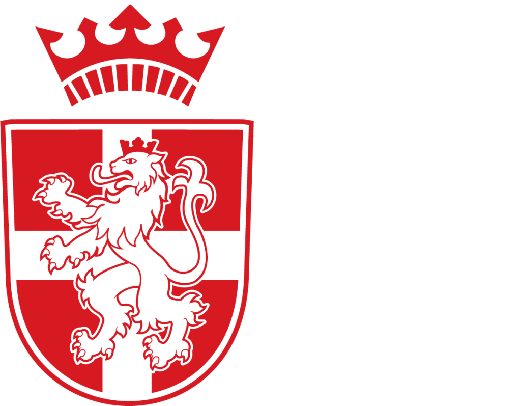 Skal du være EM-landstræner i Györ 2019? - Ultimate - DFSU