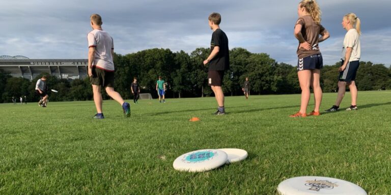 Teoriafsnit - Ultimate - DFSU